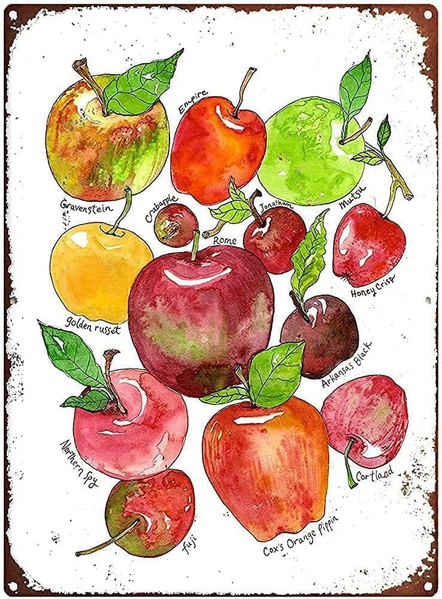Tin Sign 12x16 Inch Large Types Of Apples From The Fall Harvest Metal ...