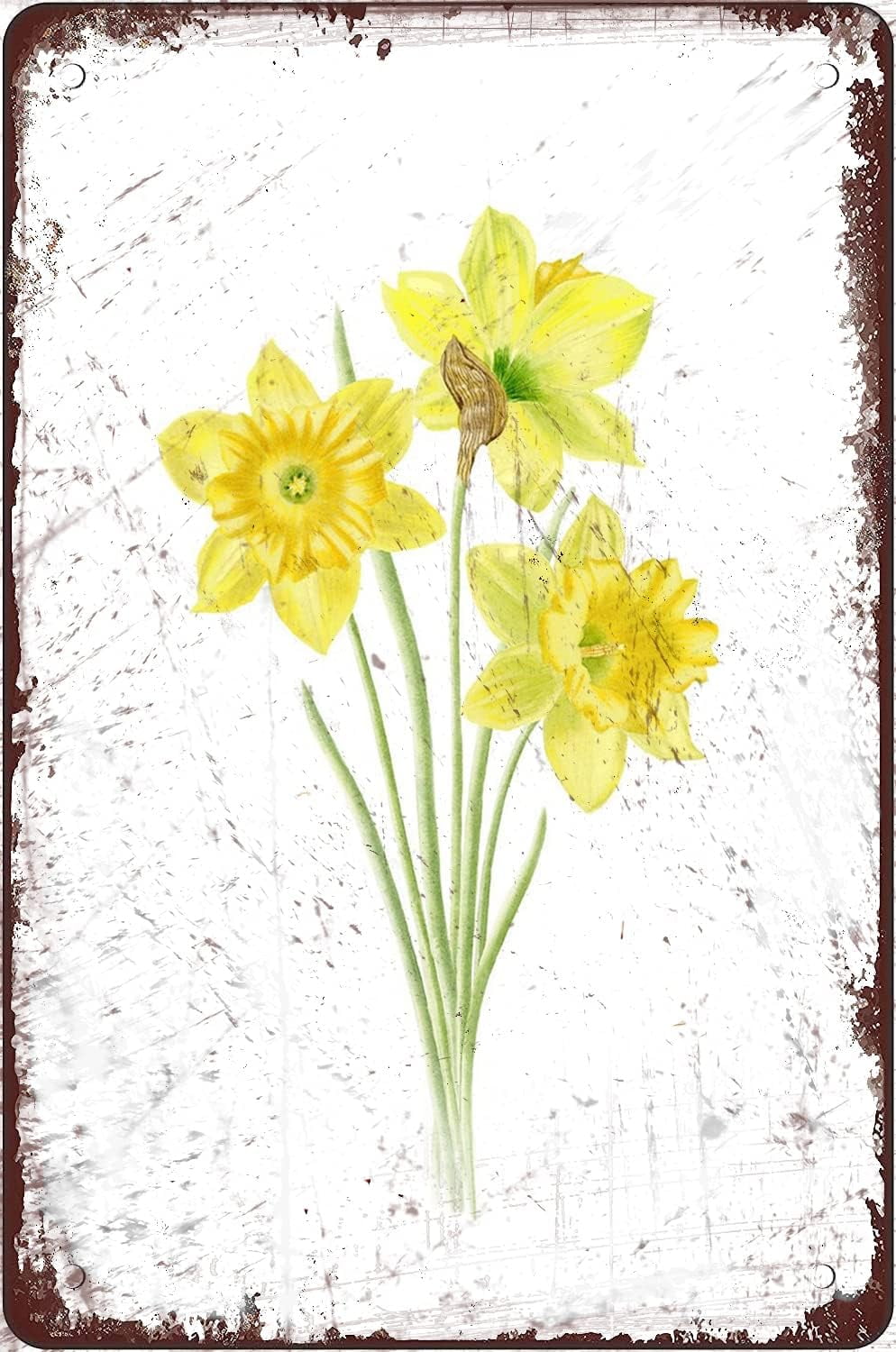 Tin Sign 12x16 Inch March Birth Flower Yellow Flower Floral Daffodil ...