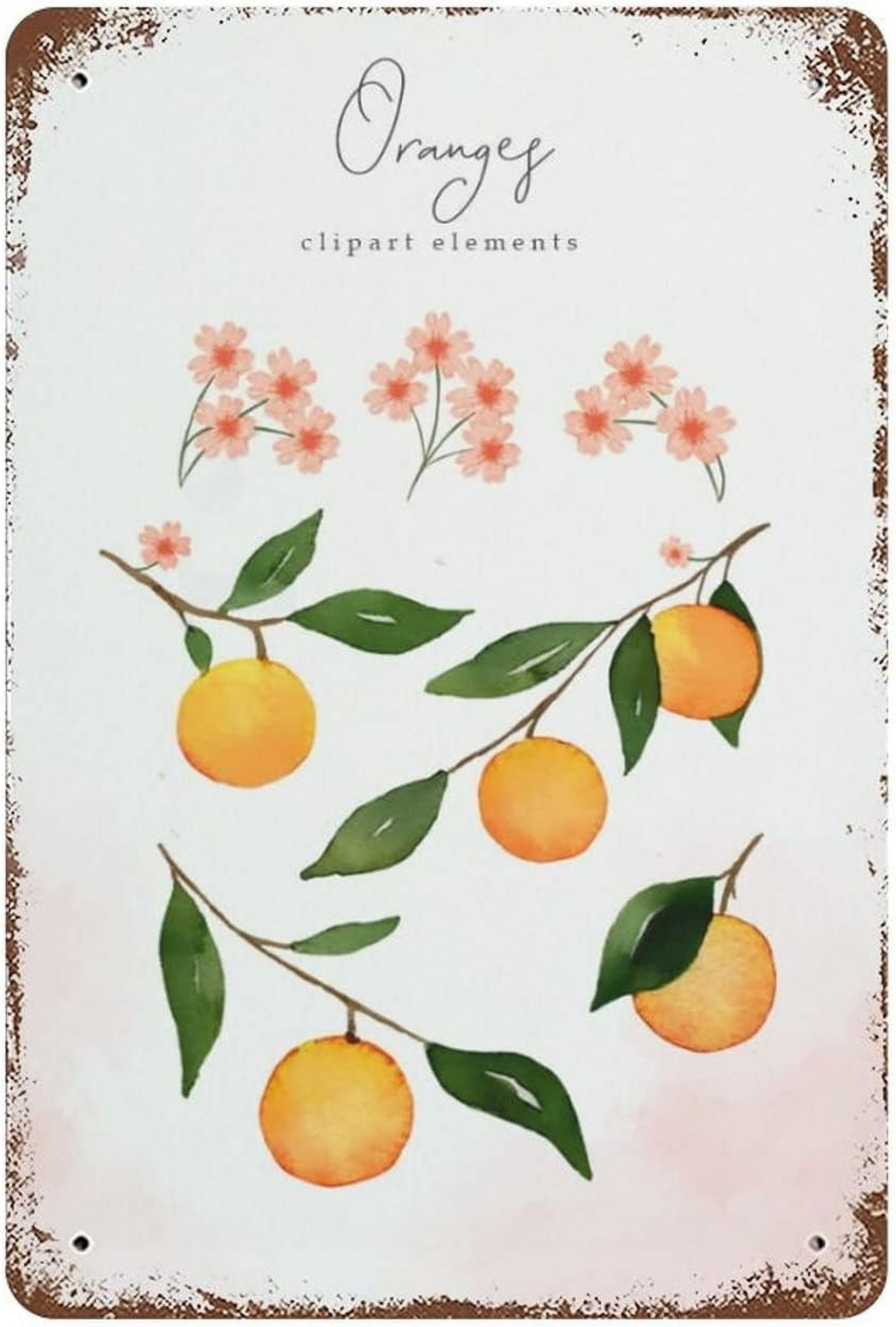 Tin Sign 12x16 Inch Orange Watercolor Oranges Spring Tin Signs Retro ...