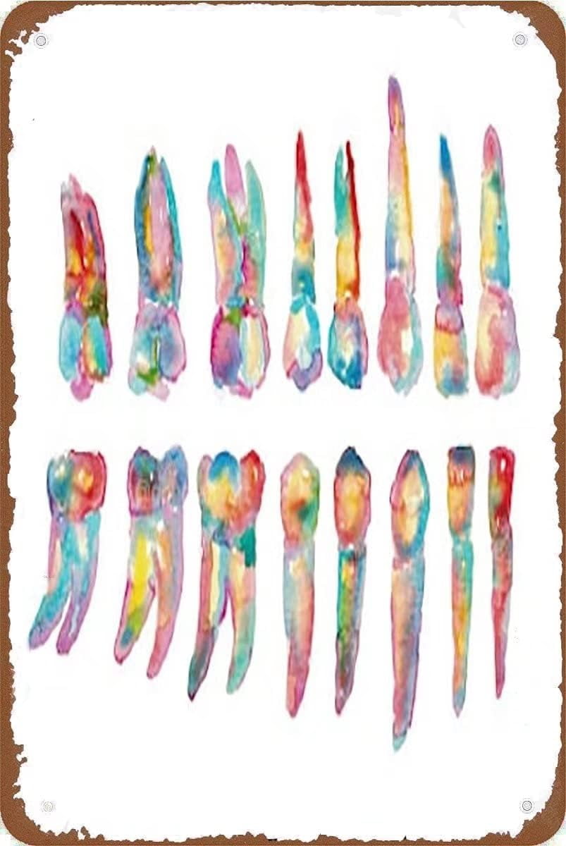 Tin Sign 12x16 Inch X Ray Tooth Tin Sign Dental Anatomy Tooth Bone And ...