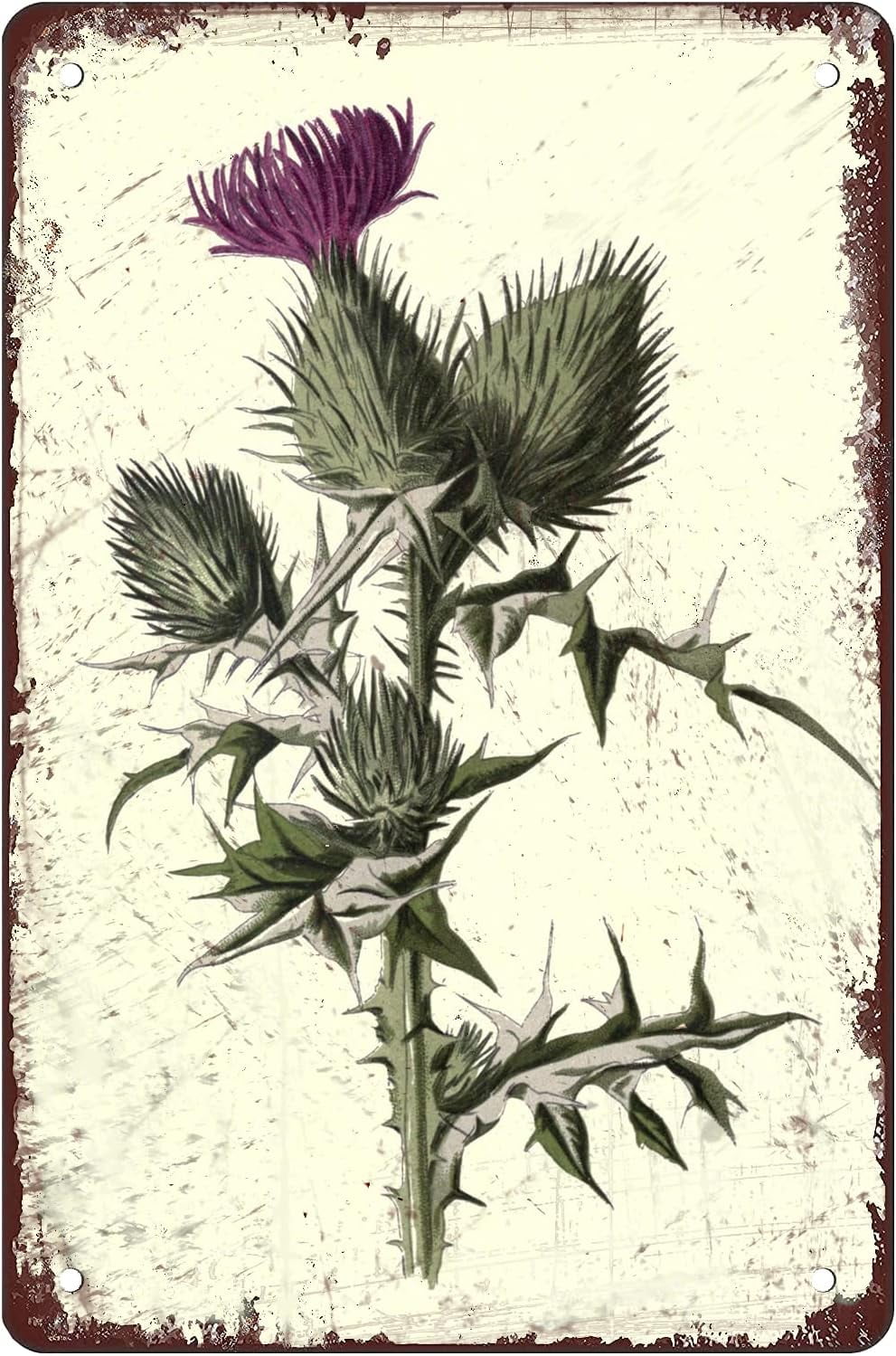 Tin Sign 8x12 Inch Botanical Thistle Metal Tin Sign Retro Kitchen ...