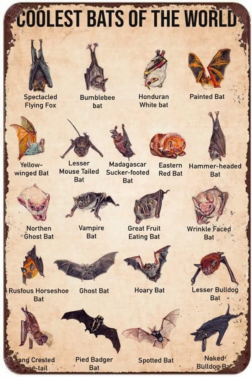 Tin Sign 8x12 Inch Coolest Bats Of The World Antique Tin Sign Rustic ...