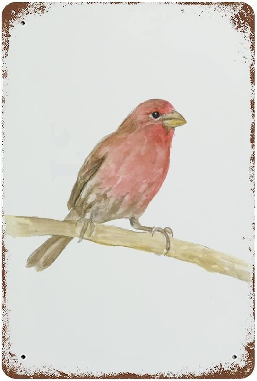 Tin Sign 8x12 Inch Finch Bird Vintage Metal Plaque Sign Retro Poster ...