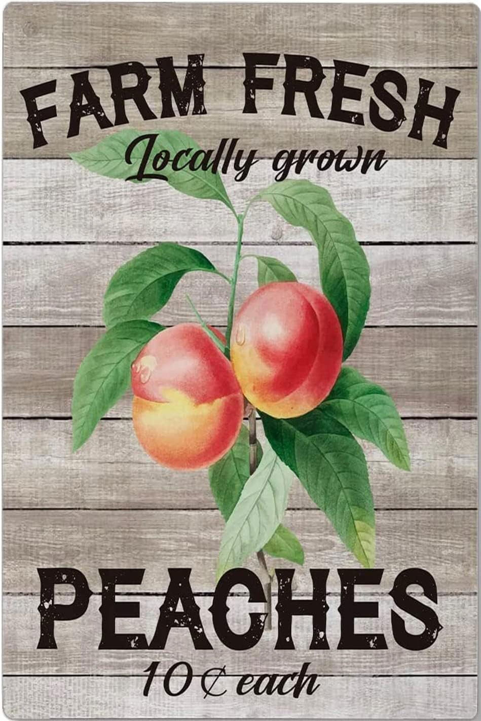 Tin Sign 8x12 Inch Peaches Sign Gift Farmhouse Peach Farm Fresh Metal ...