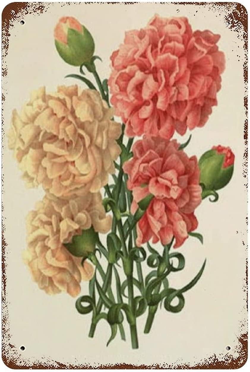 Tin Sign 8x12 Inch Pink Carnation Tin Signs Vintage Flower Tin Signs ...