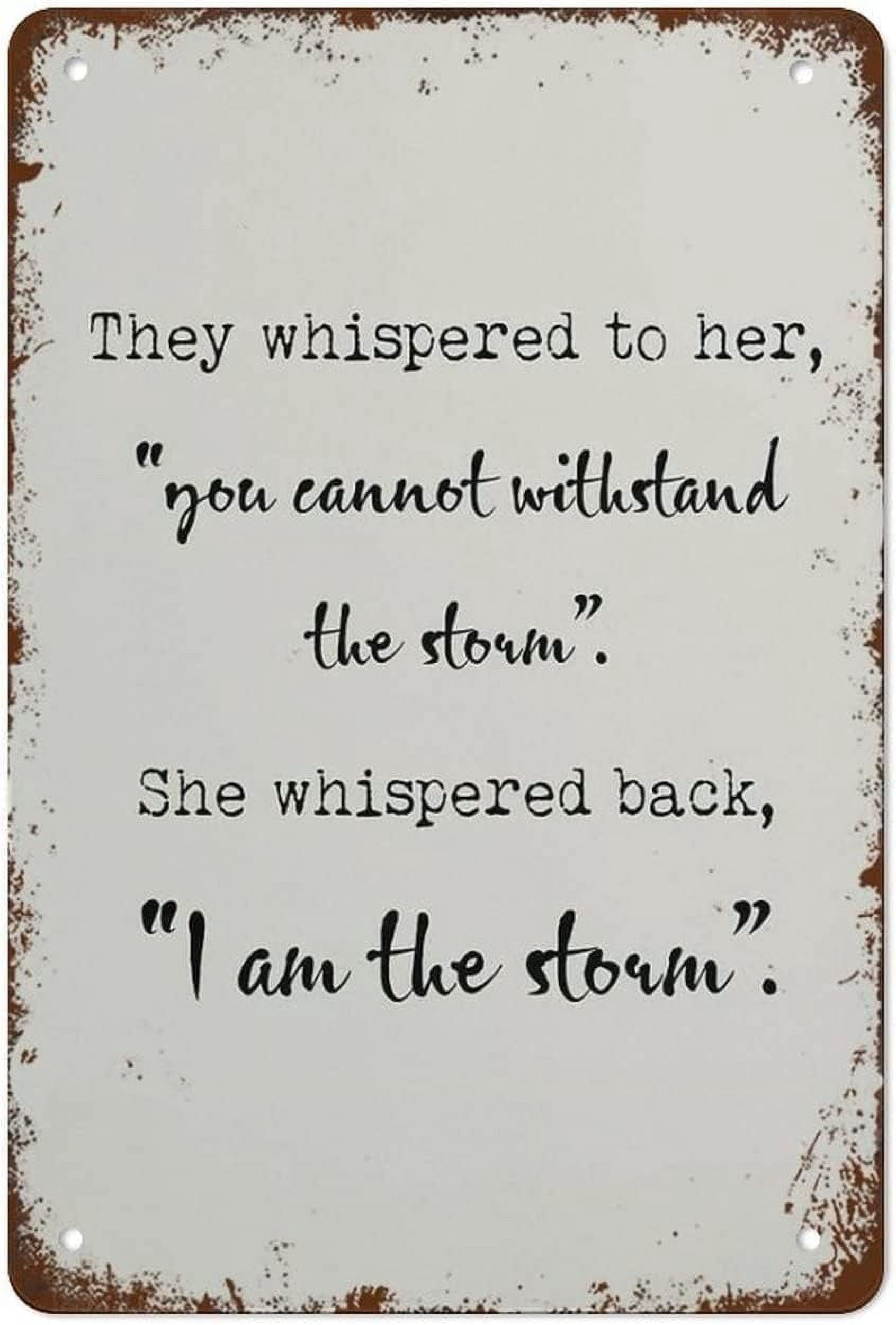 Tin Sign 8x12 Inch Retro Metal Tin Sign I Am The Storm Print You Cannot ...