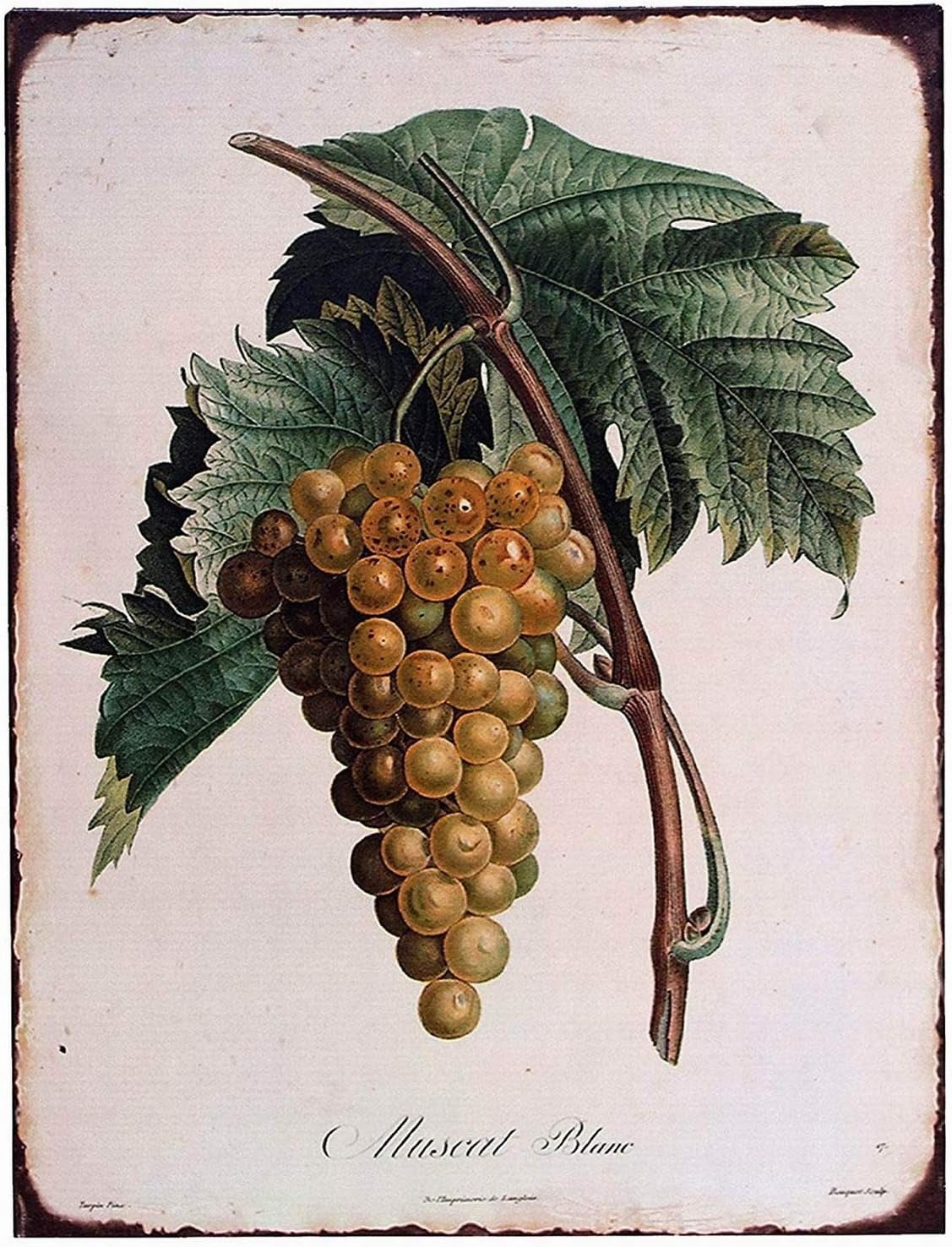 Tin Sign 8x12 Inch Trees Fruits Leaves Flowers Grapes Tin Signs Home ...