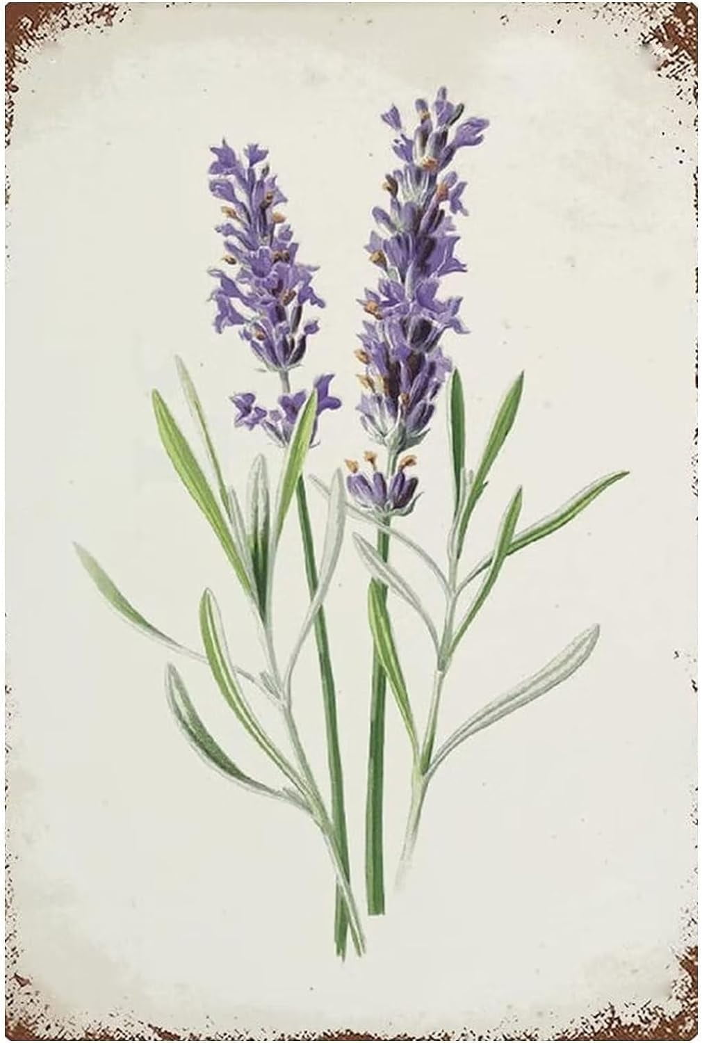 Tin Sign 8x12 Inch Vintage Purple Lavender Flower Art Painting Tin ...