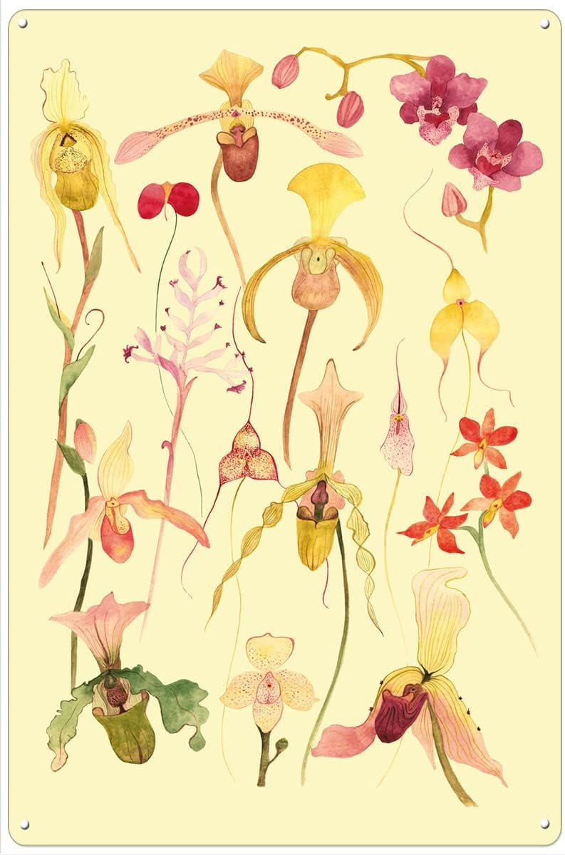 Tin Sign 8x5.5 Inch Botanical Illustration Orchids Vintage Metal Tin ...