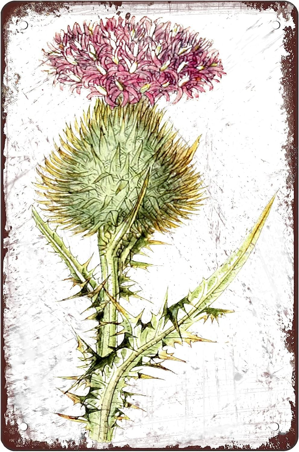 Tin Sign 8x5.5 Inch Botanical Thistle Fairy Vintage Tin Signs Plants ...