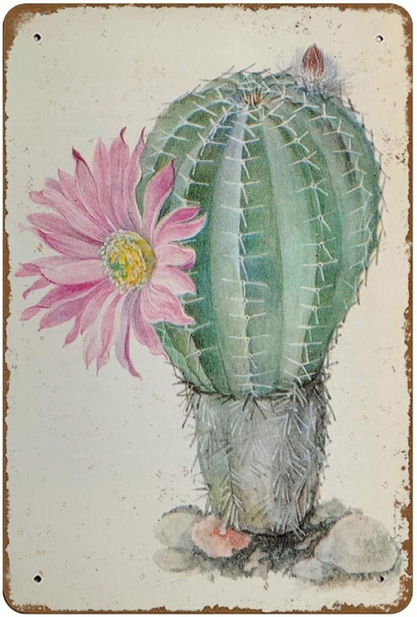 Tin Sign 8x5.5 Inch Cactus Botanical Flowering Cacti Retirement Present ...