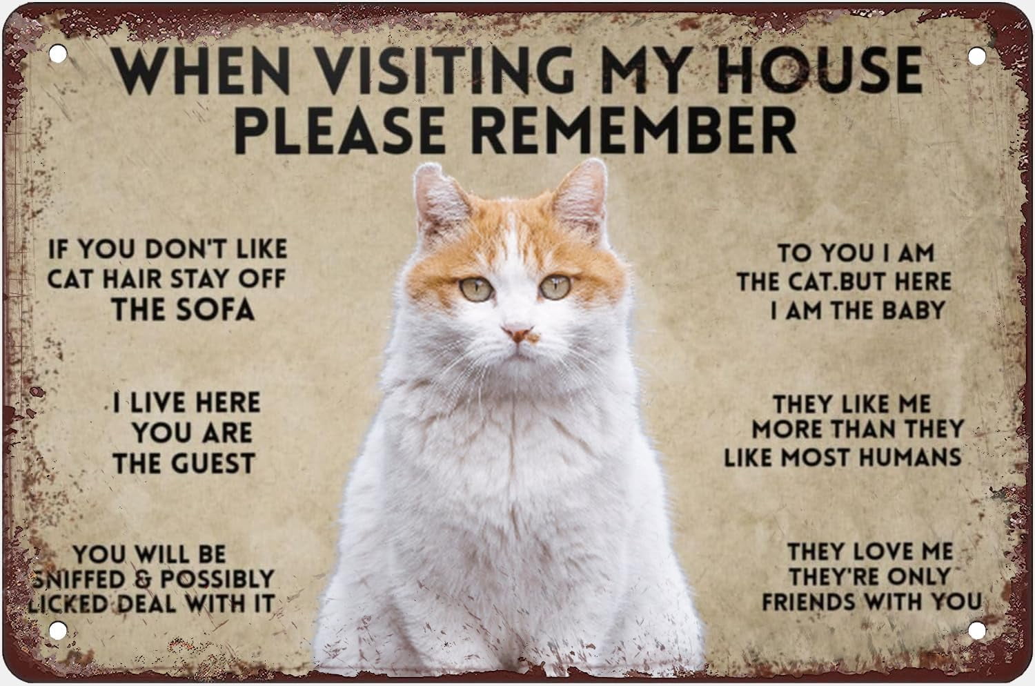Tin Sign 8x5.5 Inch Cat When Visiting My House Please Remember Cat ...
