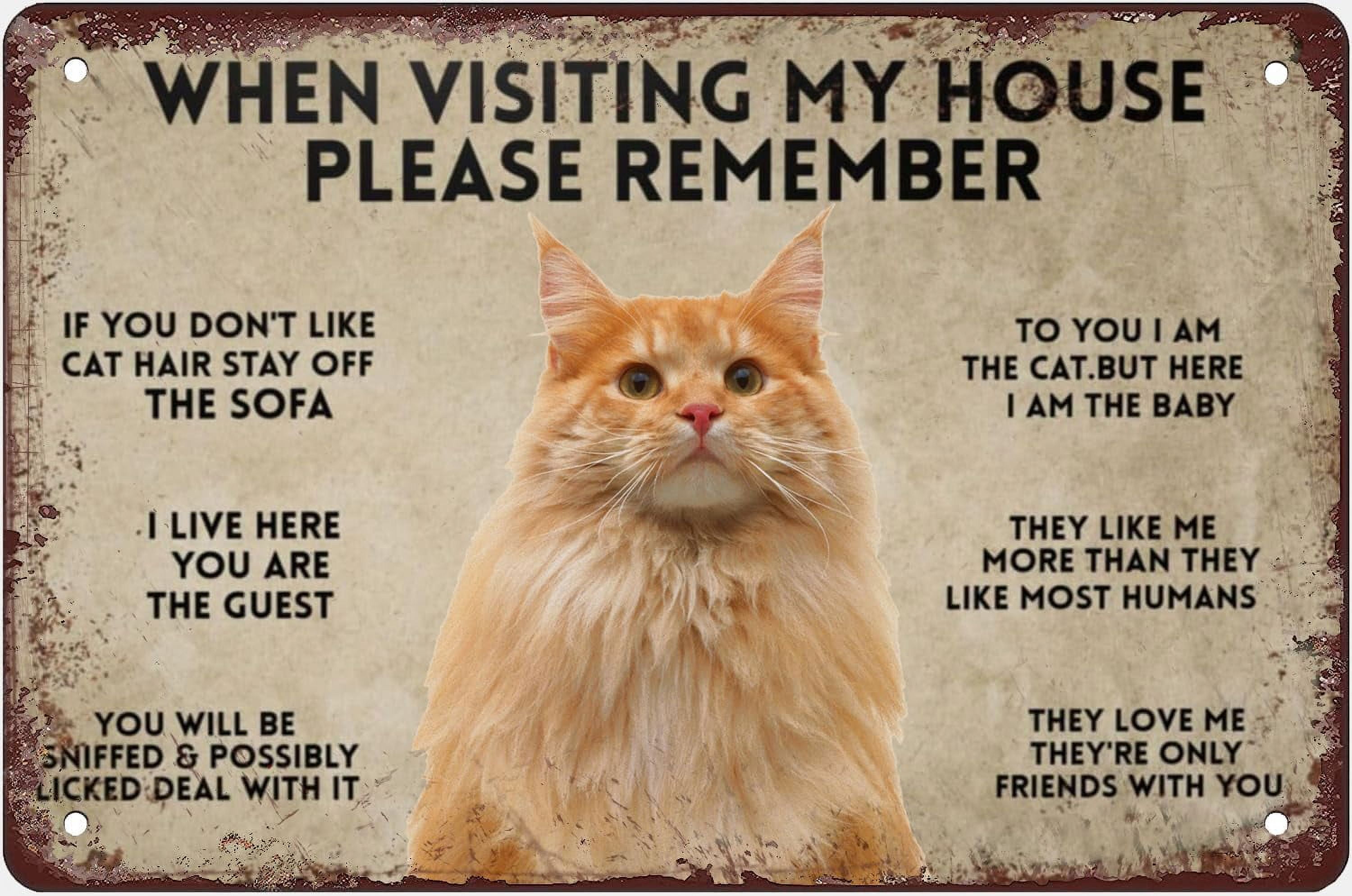 Tin Sign 8x5.5 Inch Cat When Visiting My House Please Remember Cat Tin ...