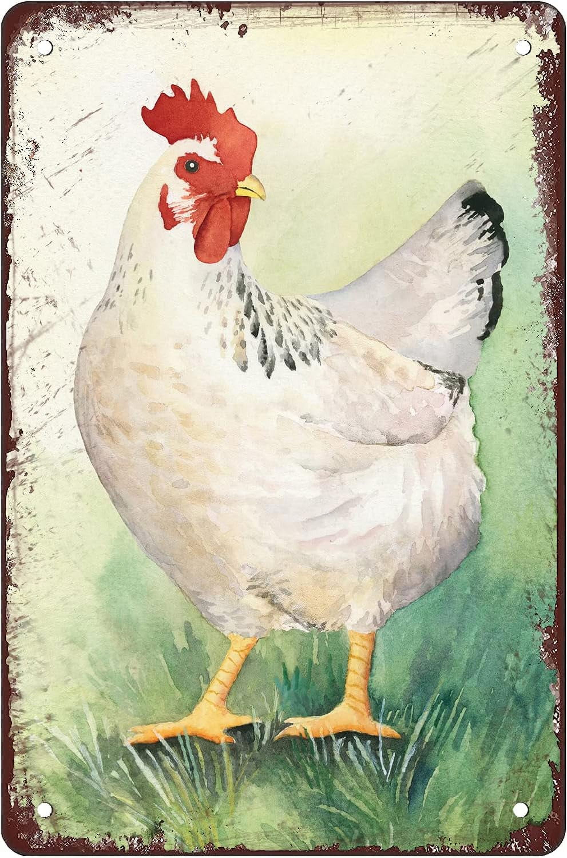 Tin Sign 8x5.5 Inch Chicken Wall Art Farmhouse Country Kitchen Decor ...