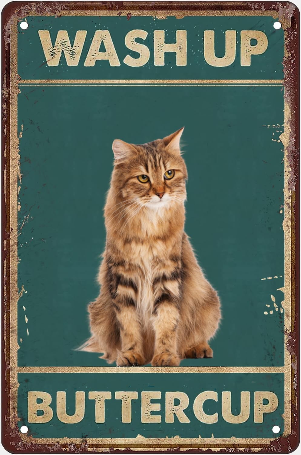Tin Sign 8x5.5 Inch Metal Tin Signs Cats Vintage Tin Sign Wash Up ...
