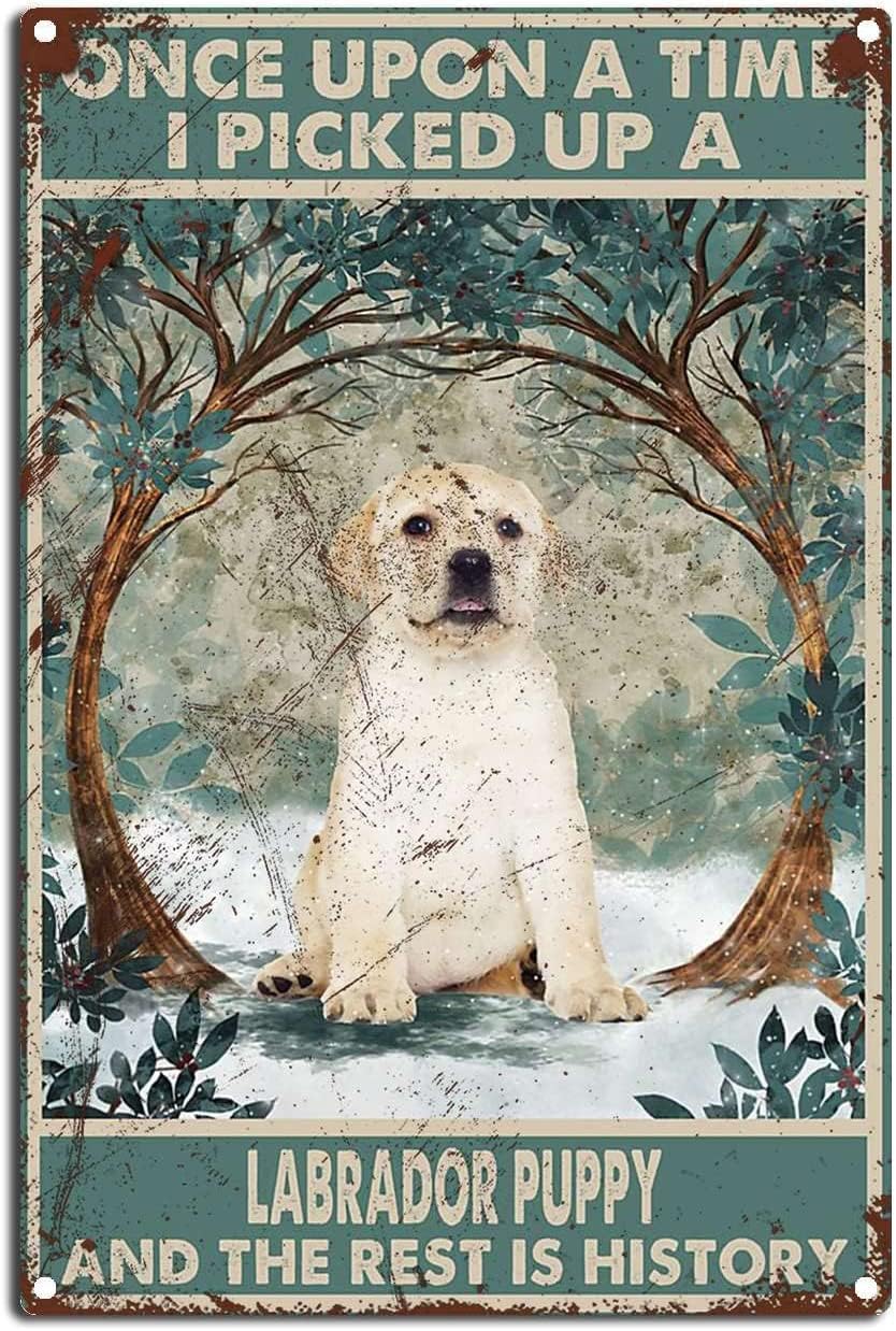 Tin Sign 8x5.5 Inch Metal Tin Sign Vintage Yellow Labrador I Picked Up ...
