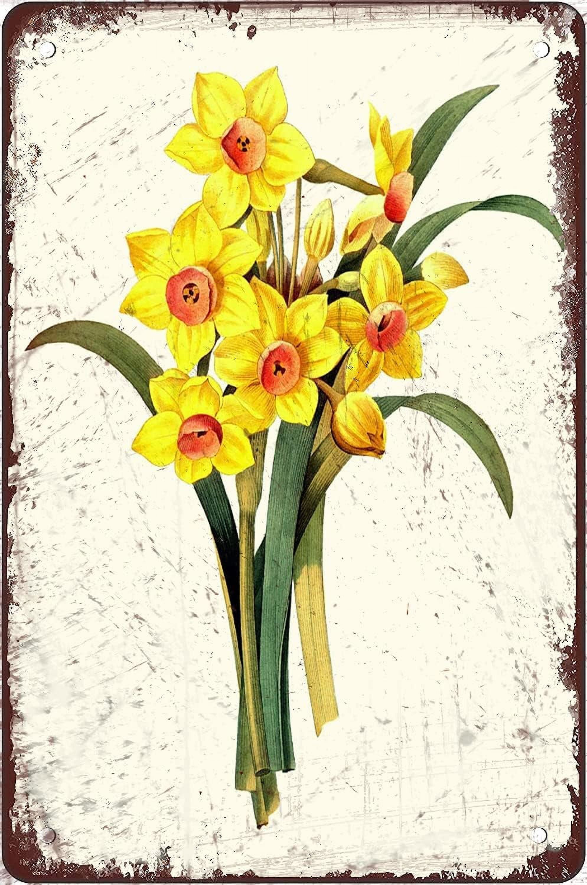 Tin Sign 8x5.5 Inch Spring Flower Daffodil Yellow Botanical Tin Sign ...