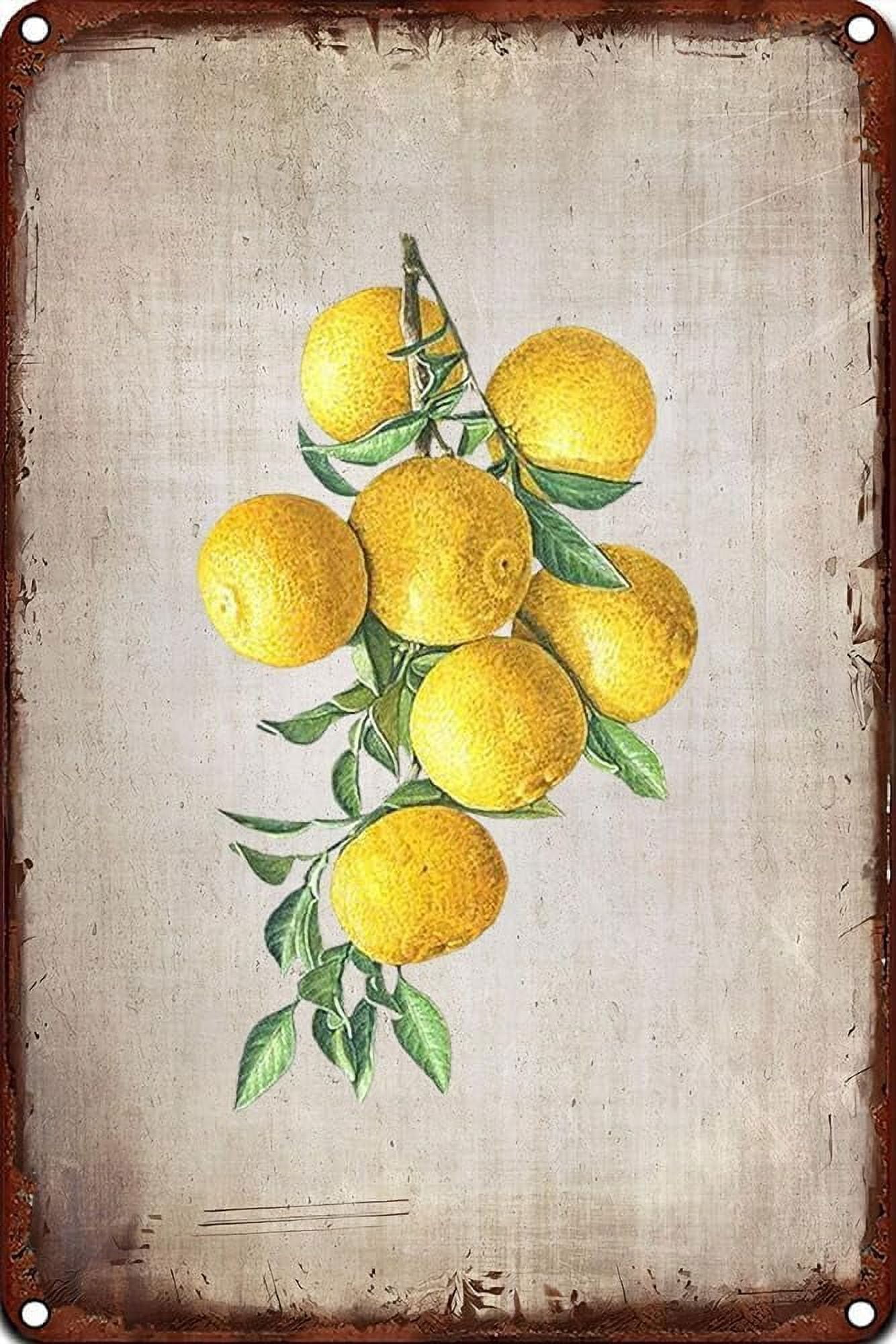 Tin Sign 8x5.5 Inch Summer Fruit Sign Lemon Leaf Greenery Tin Sign ...
