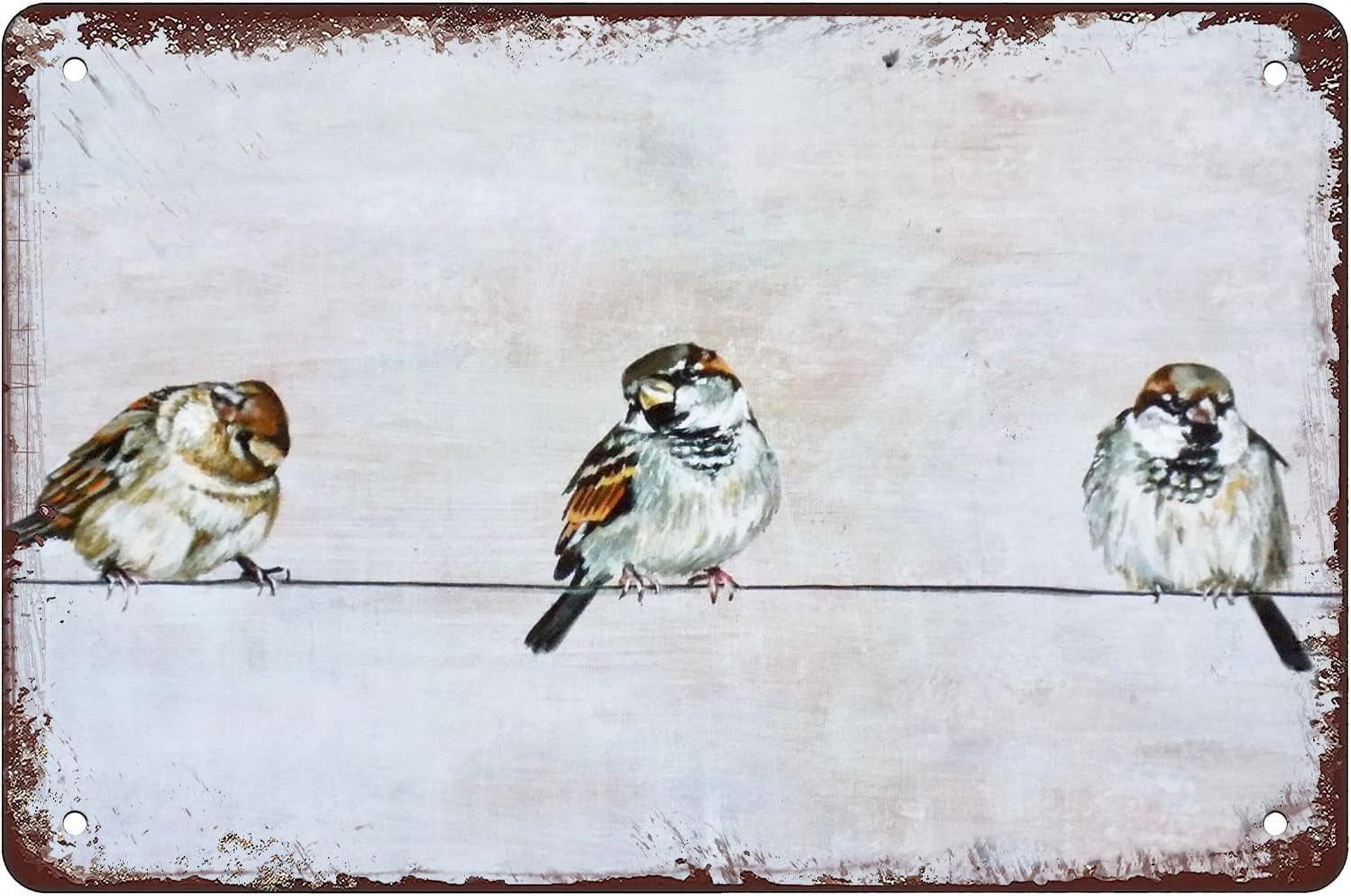 Tin Sign 8x5.5 Inch Three Sparrows On A Line Tin Sign Poster Bird ...