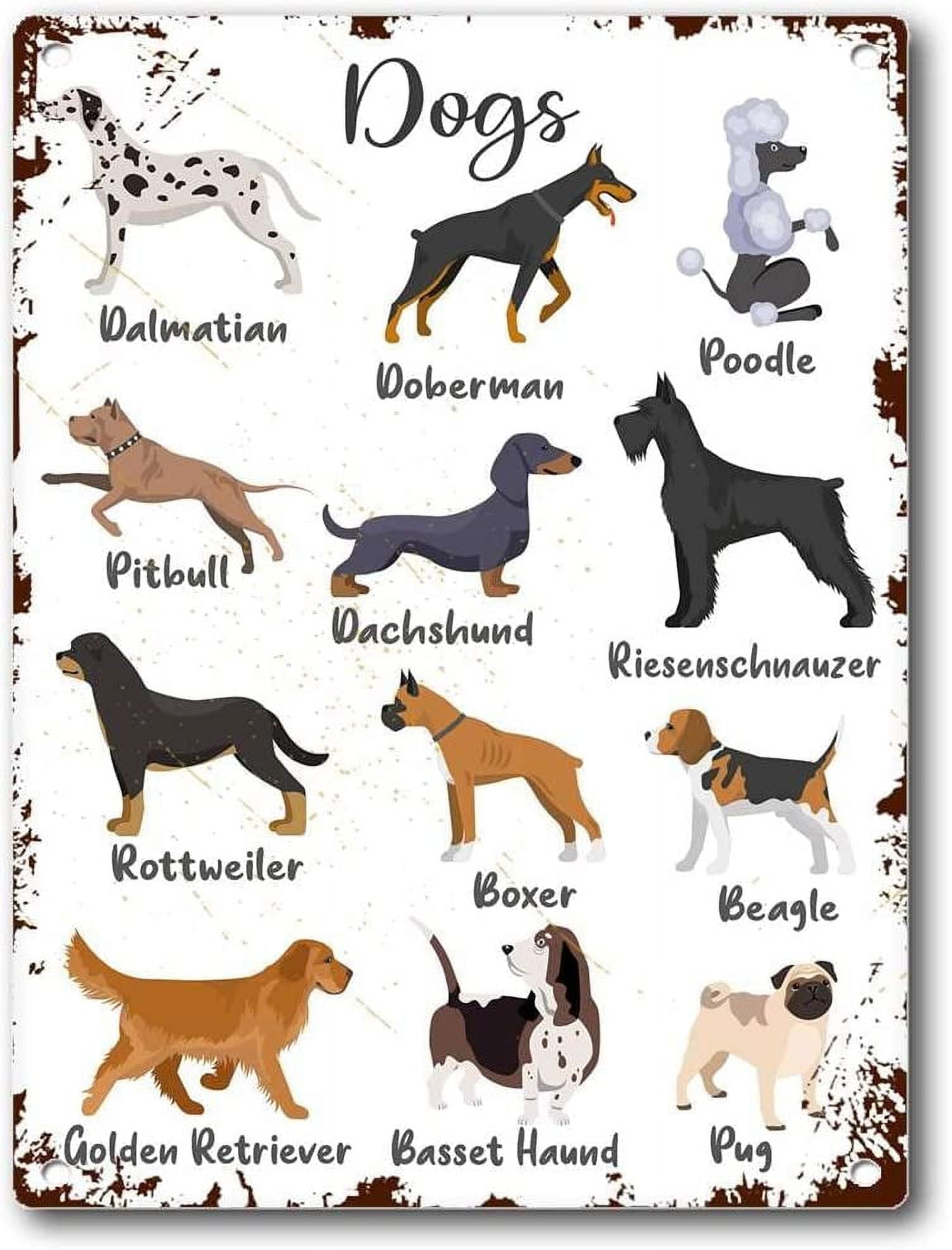 Dog Breed Chart