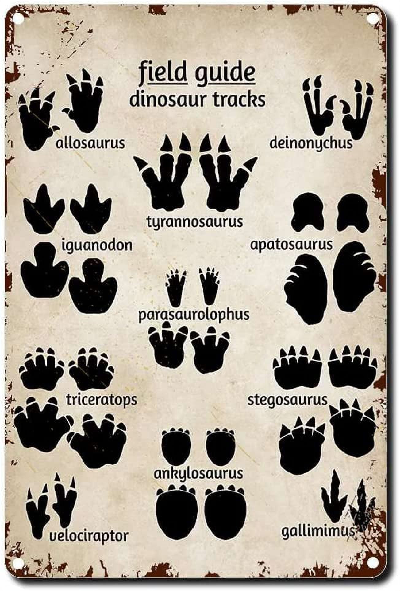 Tin Sign Field Guide Dinosaur Track Vintage Dinosaur Footprints Nursery ...