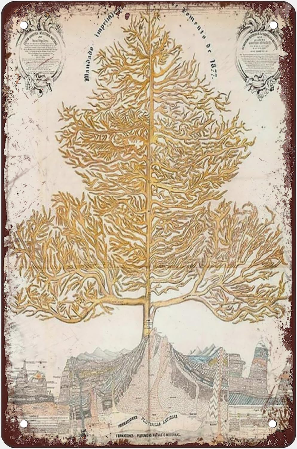 Tin Sign Table Of Natural History Spanish Evolution Art Geology Botany ...