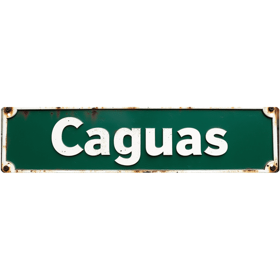Tin Signs - 16x4 Inches Caguas Family Kitchen Sign - Great for Kitchen ...