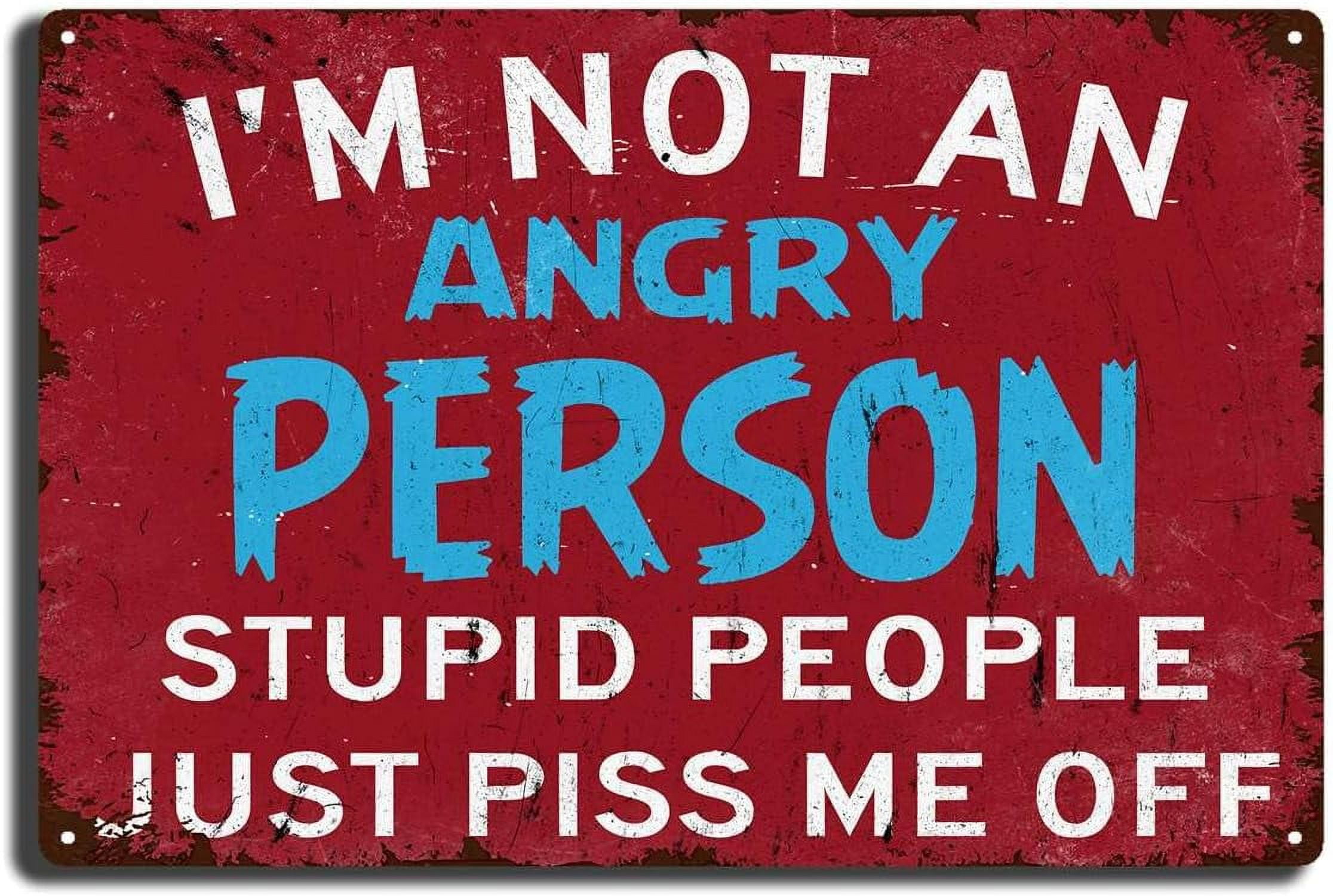 Tin Signs I'M Not An Angry Person Sign Funny Sarcastic Metal Tin Sign ...
