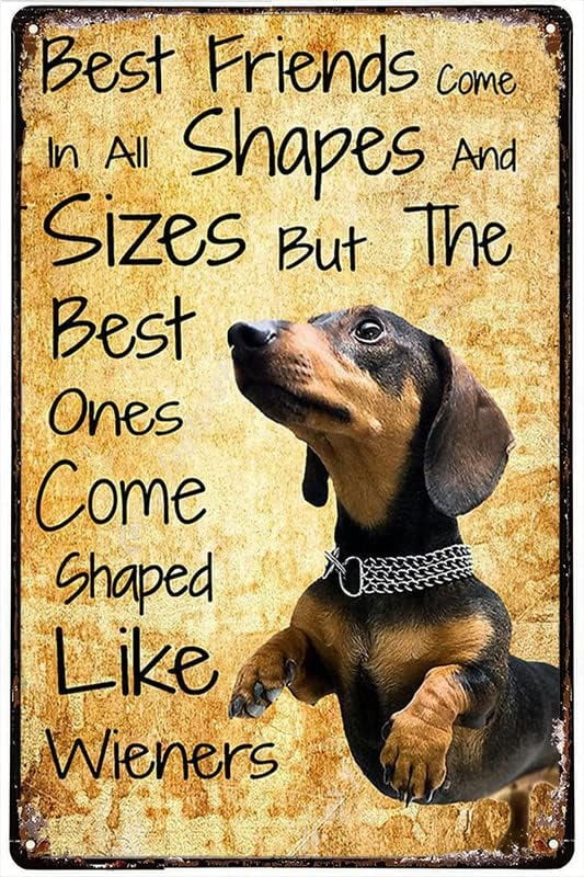 Tin Signs Bar Wall Decor Dachshund Dog Best Friends Come In All Shapes ...