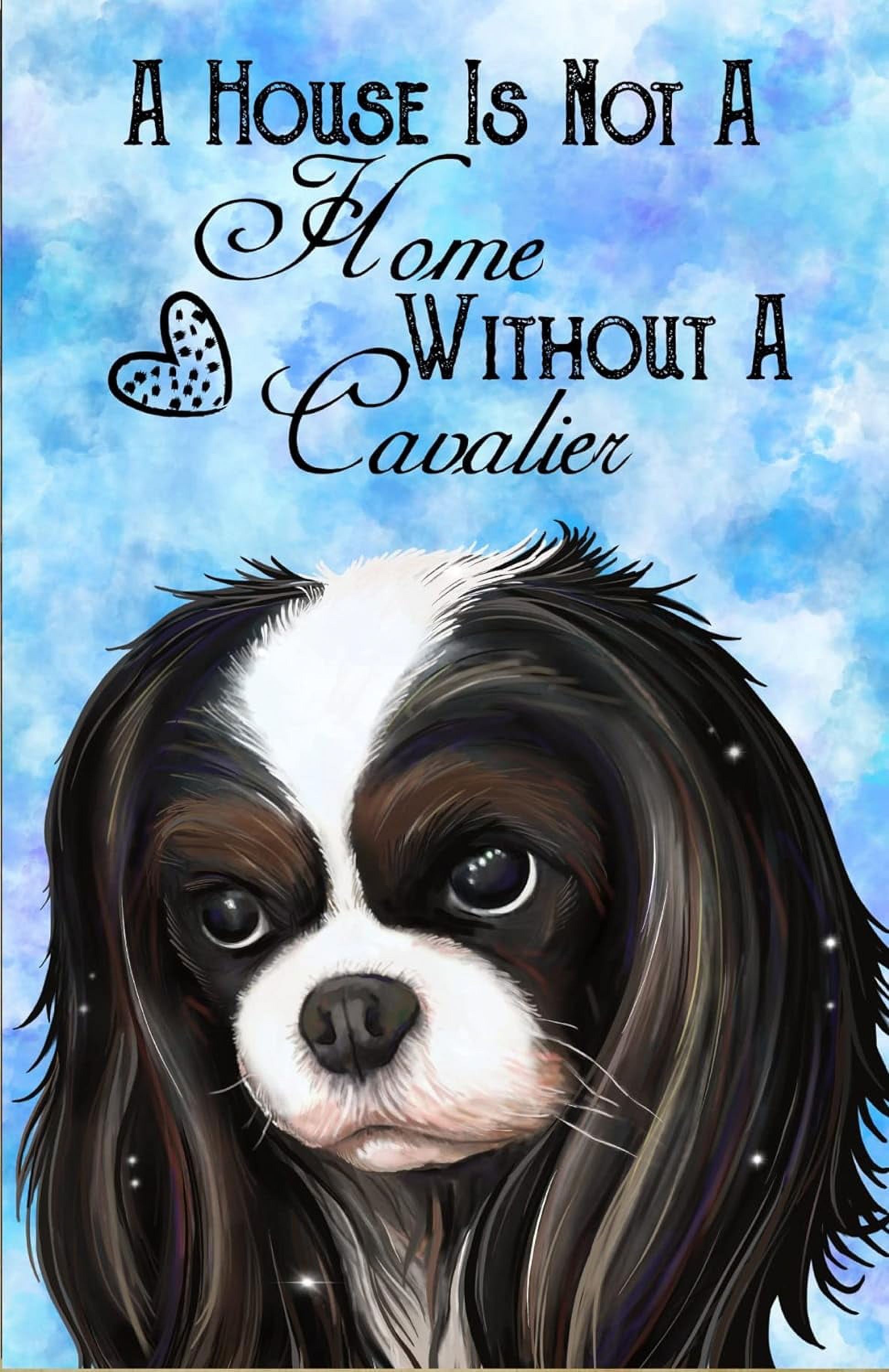 Tin Signs - Cavalier King Charles Spaniel Tricolor Cavalier Dog ...