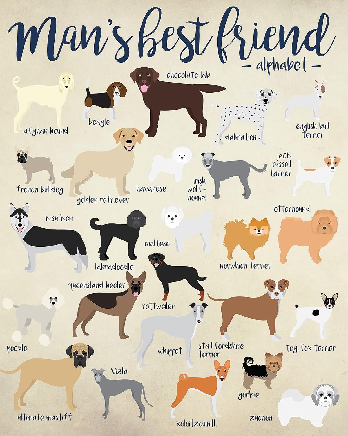 Tin Signs - Dog Breeds Alphabet Dogs Nursery S Toddler Room Able Dog ...