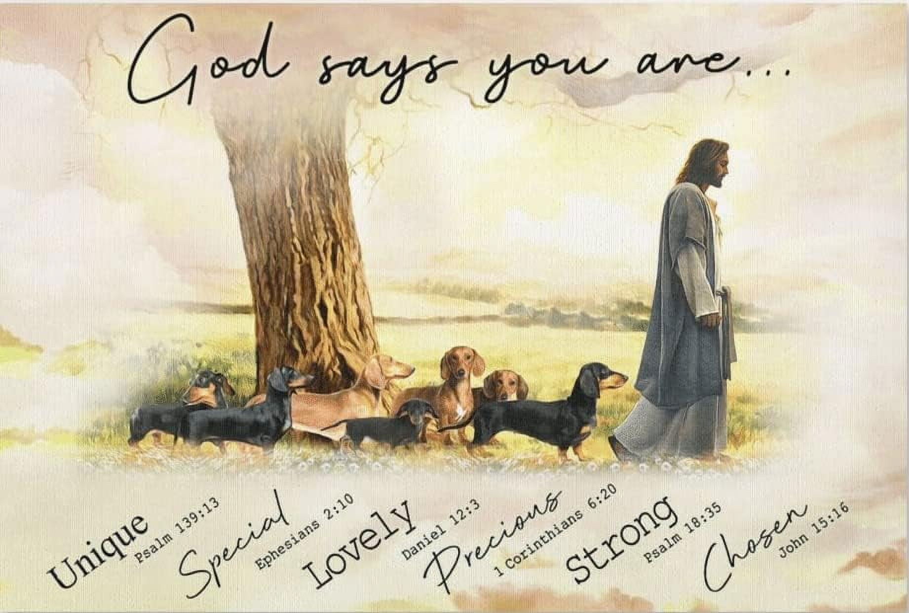 Tin Signs - God and Dog God Say You are Dachshund God Wall Ar Metal Tin ...