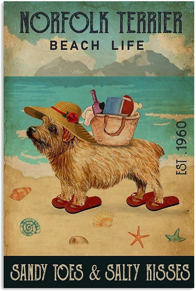 Tin Signs for Men Beach Life Sandy Toes Norfolk Terrier Sign Vintage ...