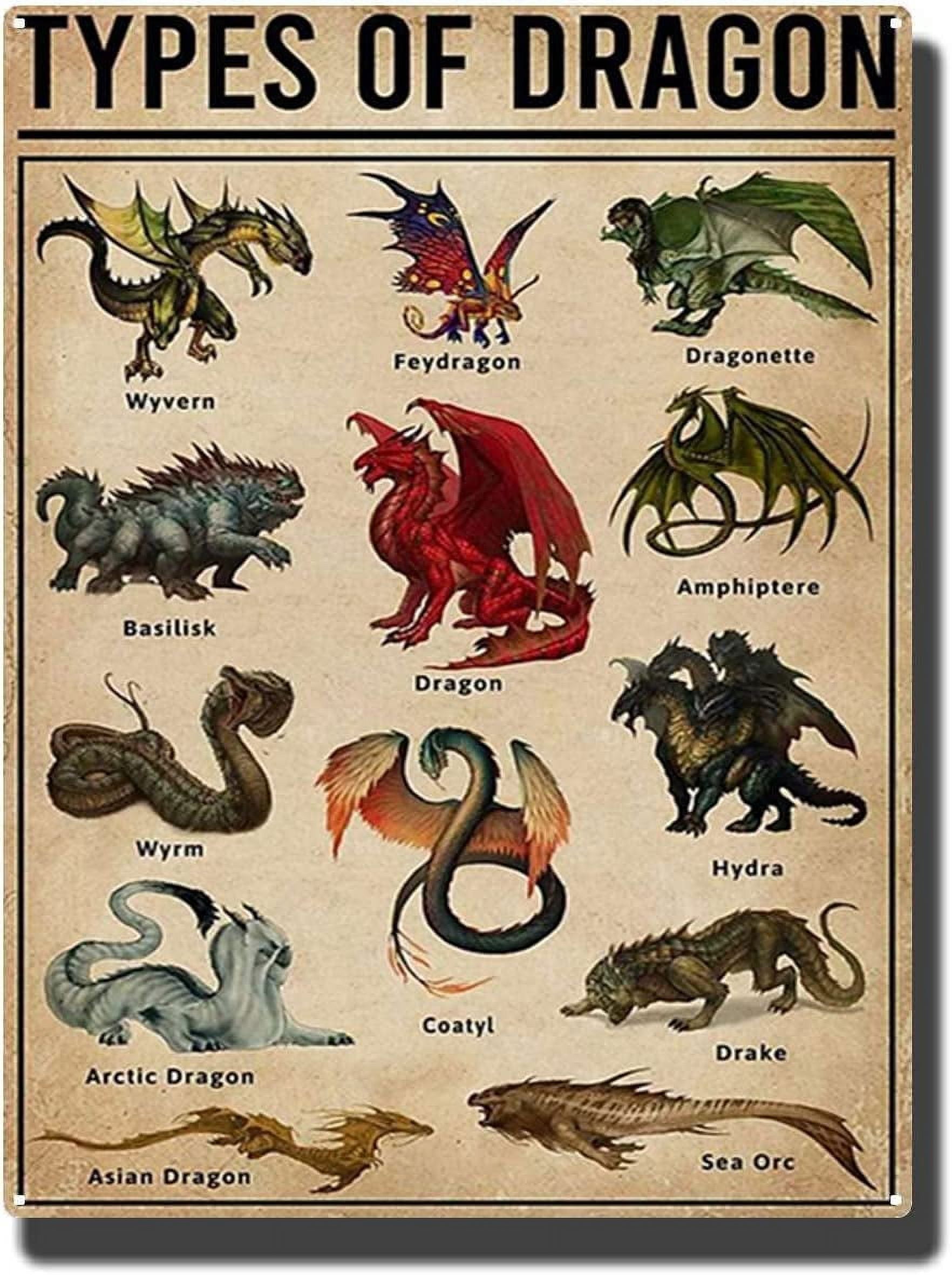 Tin Signs Types of Dragon Poster Dragon Knowledge Poster Knowledge ...