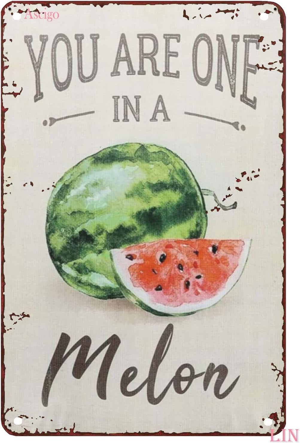 Tin Signs Vintage Funny Watermelon Fruit You are One in A Melon Vintage ...