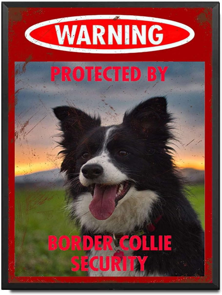 Tin Signs for Front Door Decor This Sign for Dog Owners Entrance or ...