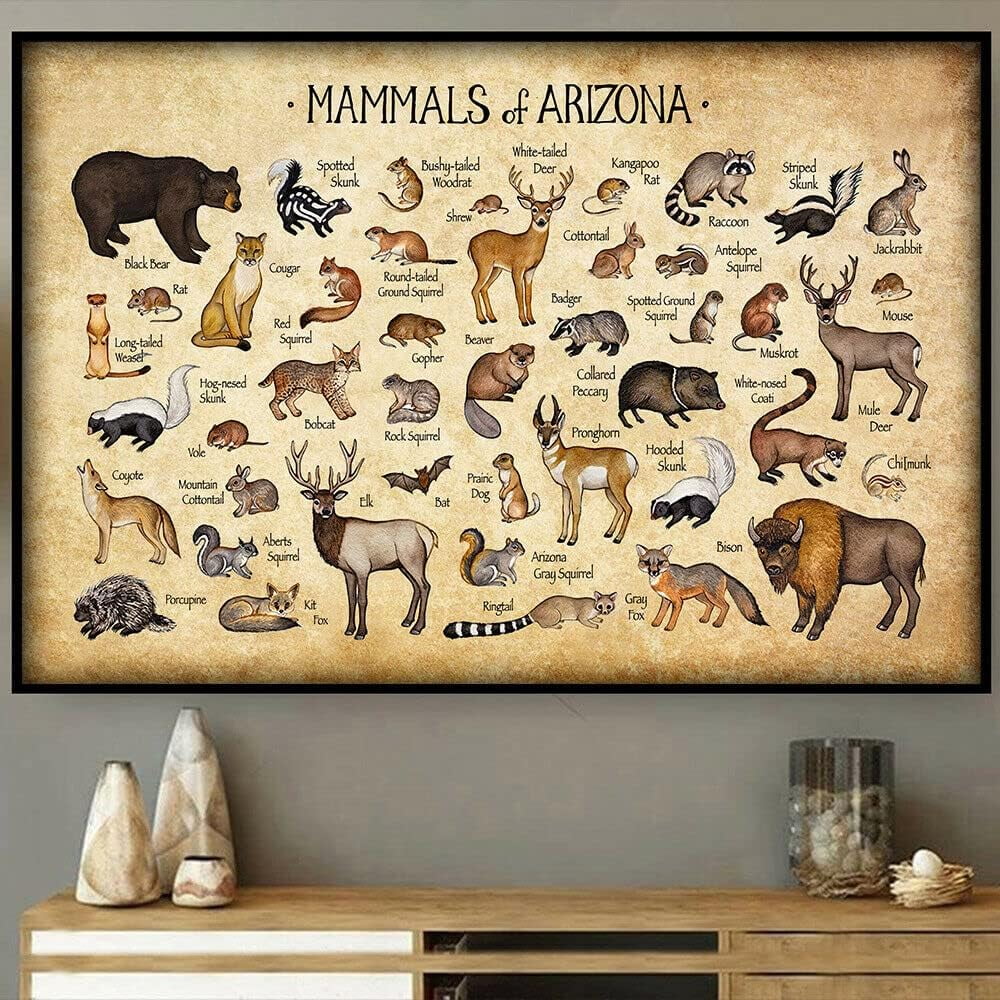 Tin Signs for Man Cave Mammals of Arizona Animals Animal in Forest ...