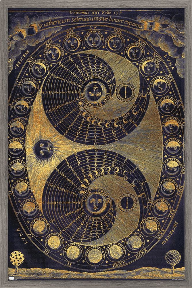 Tina Lavoie - Golden Elements Of The Moon Astronomy Chart Wall Poster ...