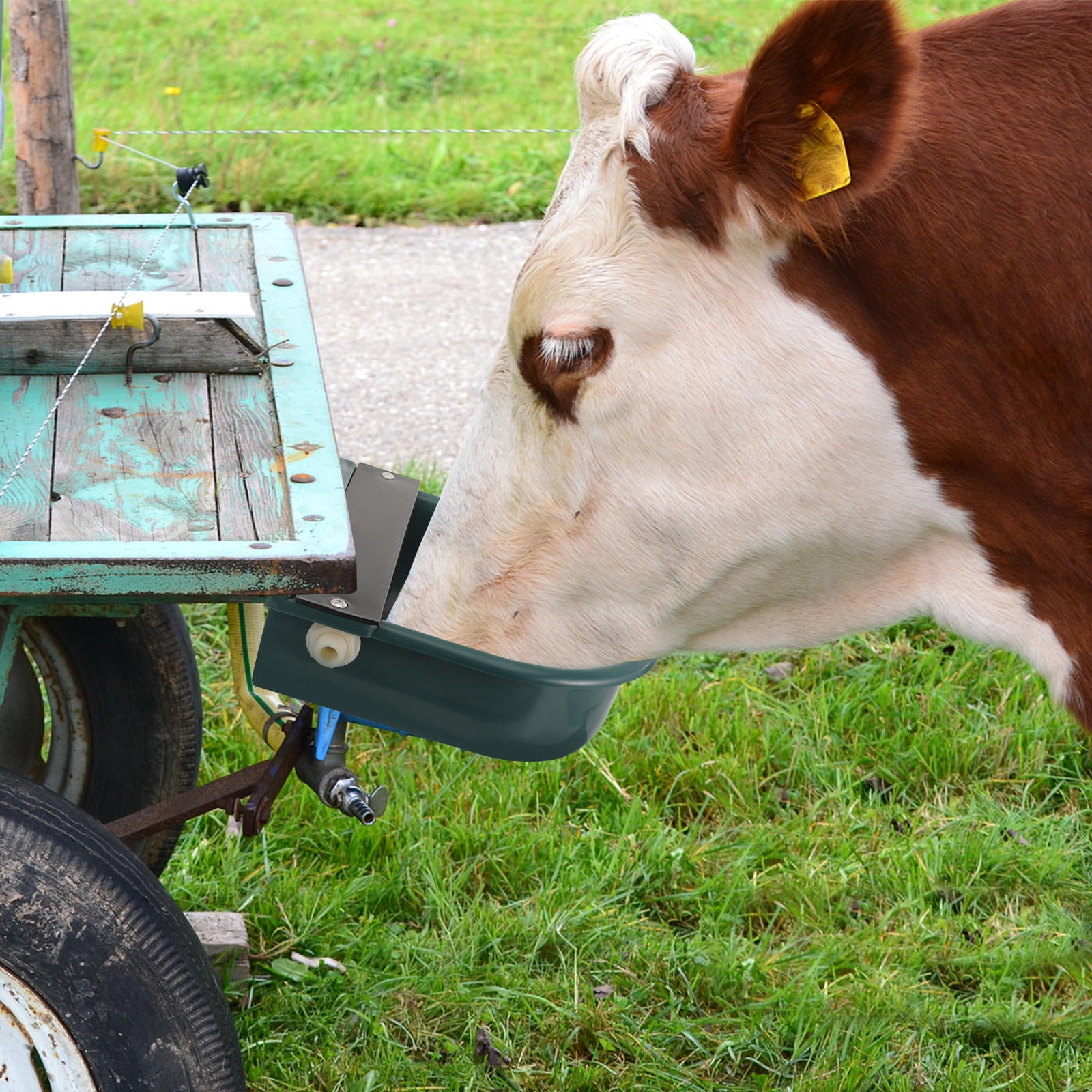 Tineasur 1Pack Cow Water Dispenser Bowl Plastic For Farmers 10.93X10 ...