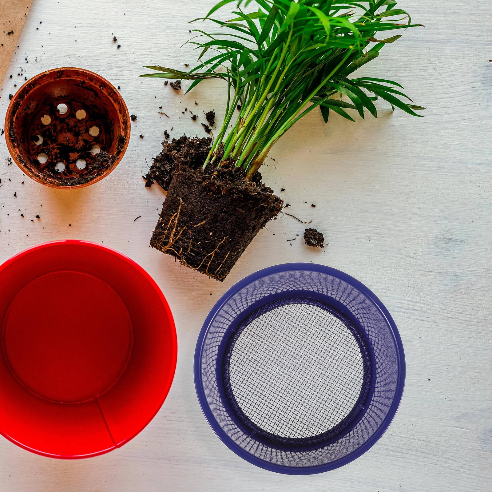 Tineasur 1Pack Iron Garden Sifter for Filtering Soil and Sifting Stones ...