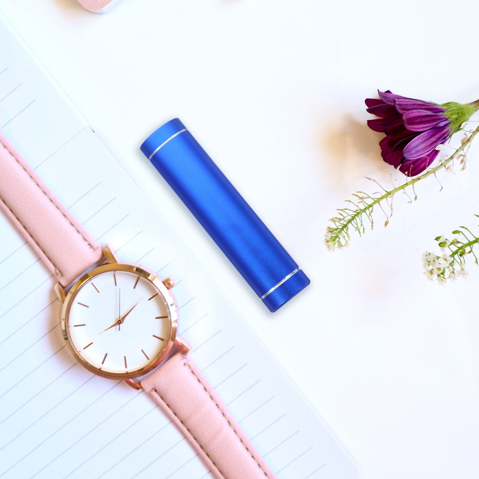 Tineasur Money Hiding Containers Home Discreet Design Blue Power Bank ...