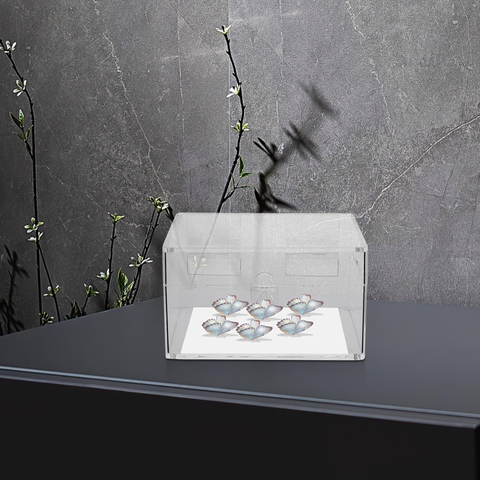 Tineasur 1Pack White EVA Specimen Positioning Board for Butterfly ...