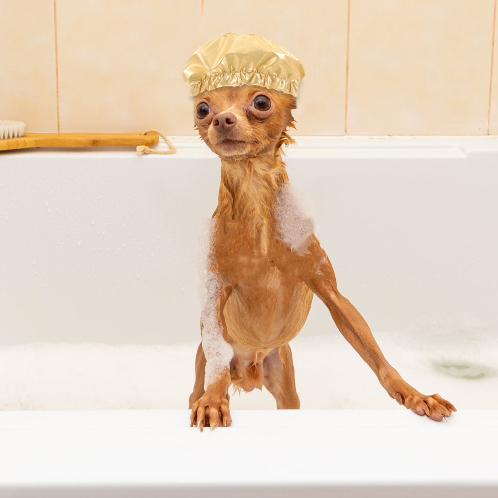 Tineasur Cat Shower Cap Ear Protection Pet Shower Hat Golden EVA 1Pack ...