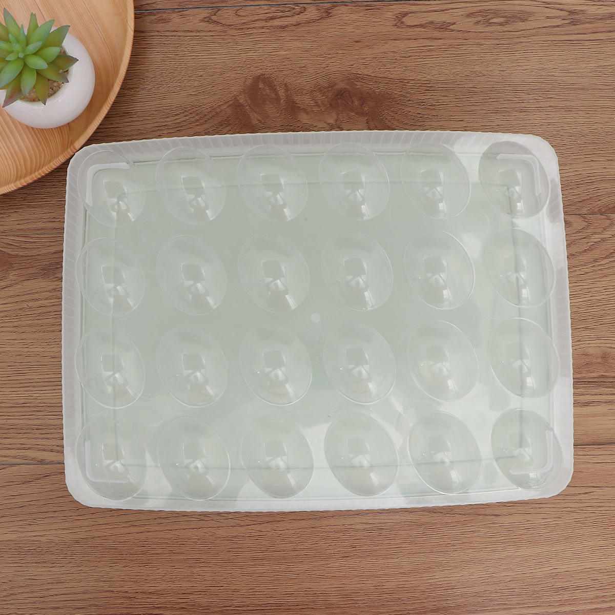 Tineasur Plastic Egg Storage Box in Green with Solid Structure and ...
