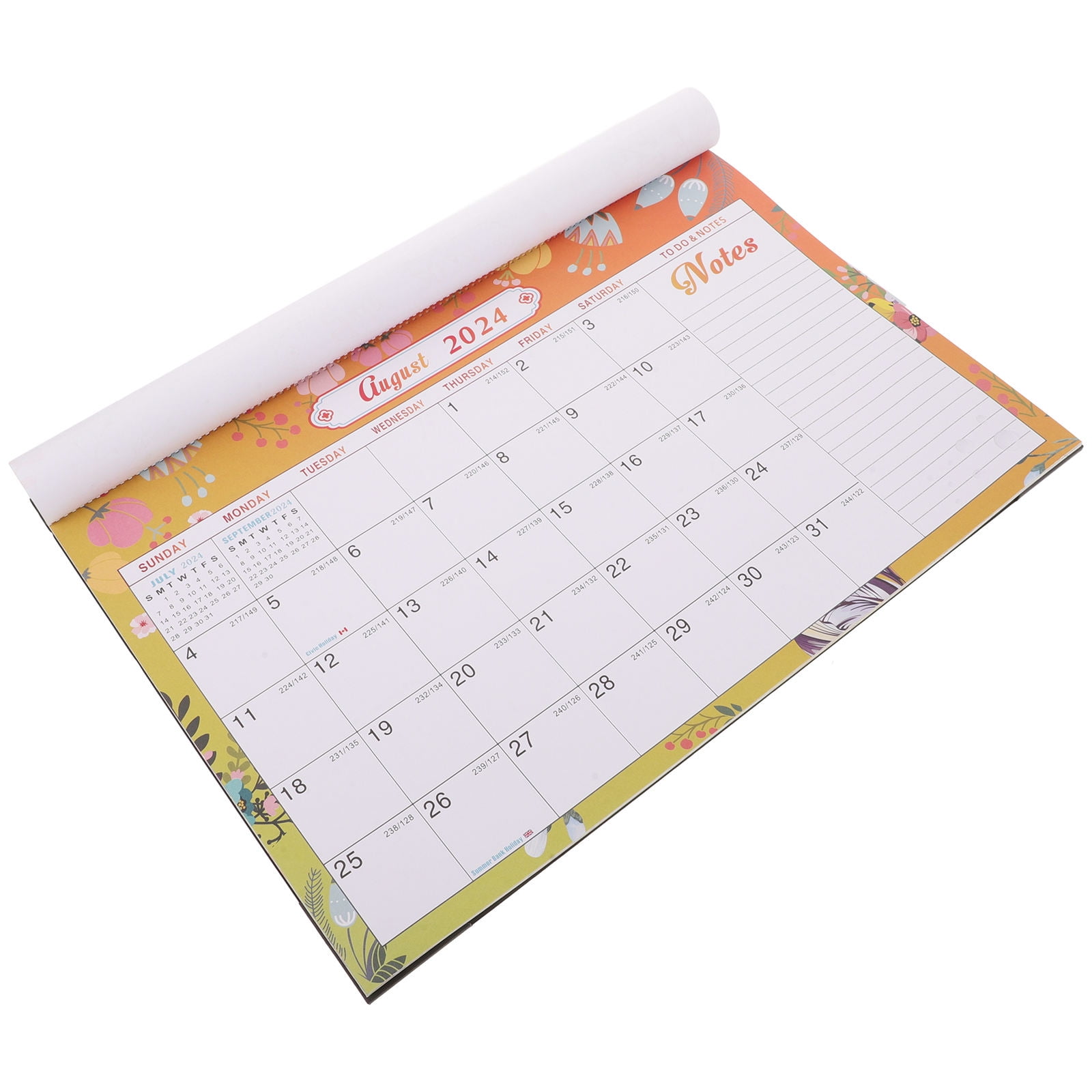 Tineasur Clear Monthly Wall Calendar with Smooth Finish for Home and ...