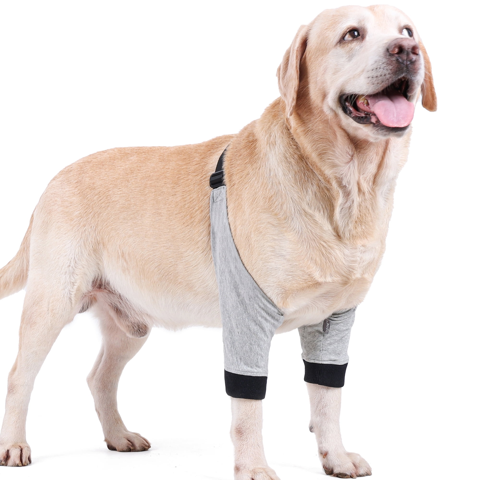Tineer Dog Recovery Sleeve Protector Front Legs Joint Soft Padded Dog ...