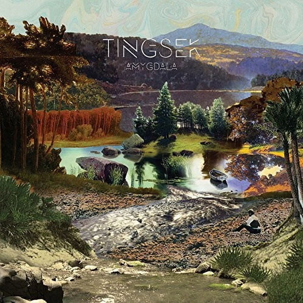 Tingsek - Amygdala - Music & Performance - Vinyl - Walmart.com
