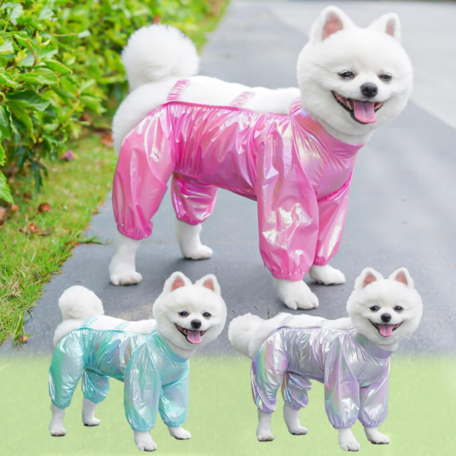 Tingzi Cat Puppy Clothes Cute Fruit Dog Candy Color Gradient Full-Body ...