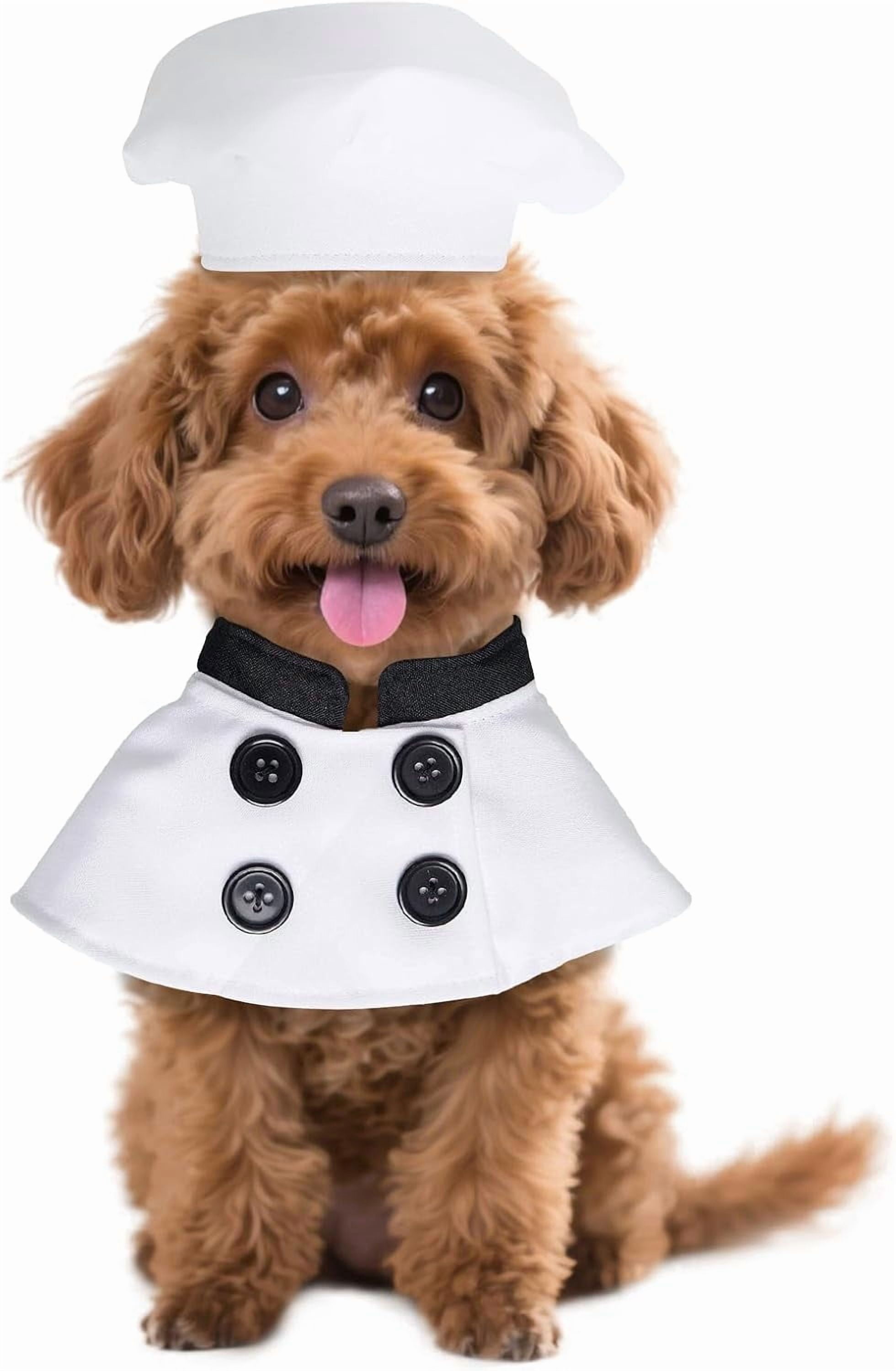 Tingzi Chef Hat for Dog Pet Chef Hat Costume Set - Pet Cooking Chef Cap ...