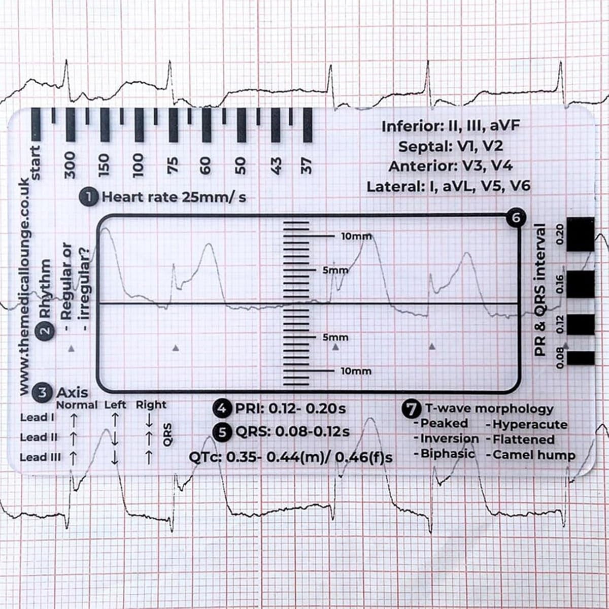 Tingzi ECG 7 Step Ruler, ECG Ruler Plastic Ruler Measuring Tool, ECG 7 ... Tingzi ECG 7 Step Ruler, ECG Ruler Plastic Ruler Measuring Tool, ECG 7 ...